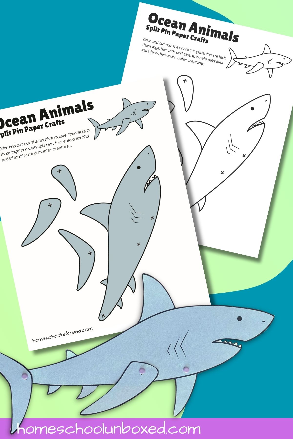 Shark Life Cycle Diagrams (Free Printables for Kids)