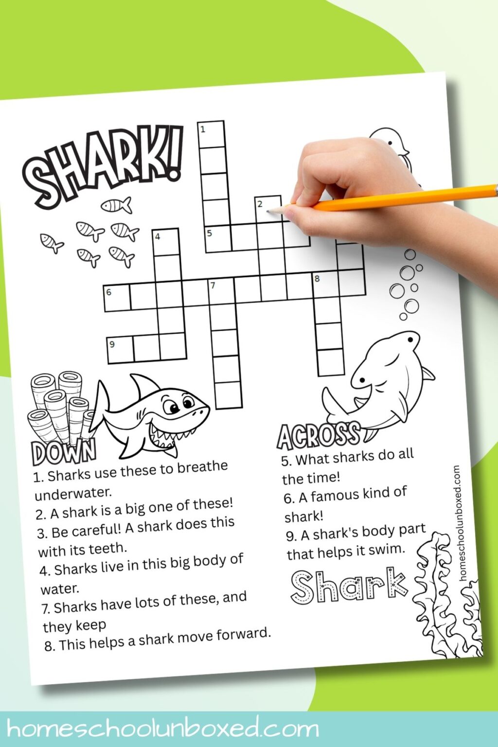 Shark Crossword Puzzles (Free Printables for All Ages)