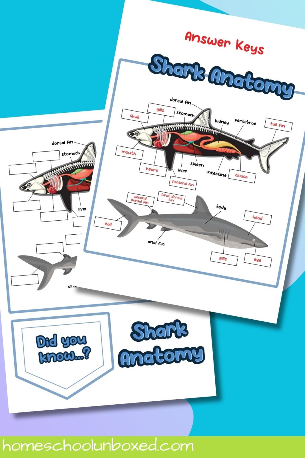 Shark Lapbook Activity (Free Printables)
