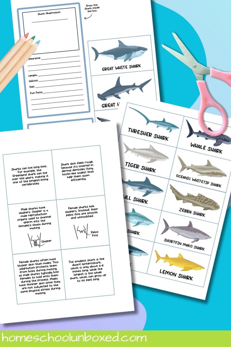 Shark Lapbook Activity (Free Printables)