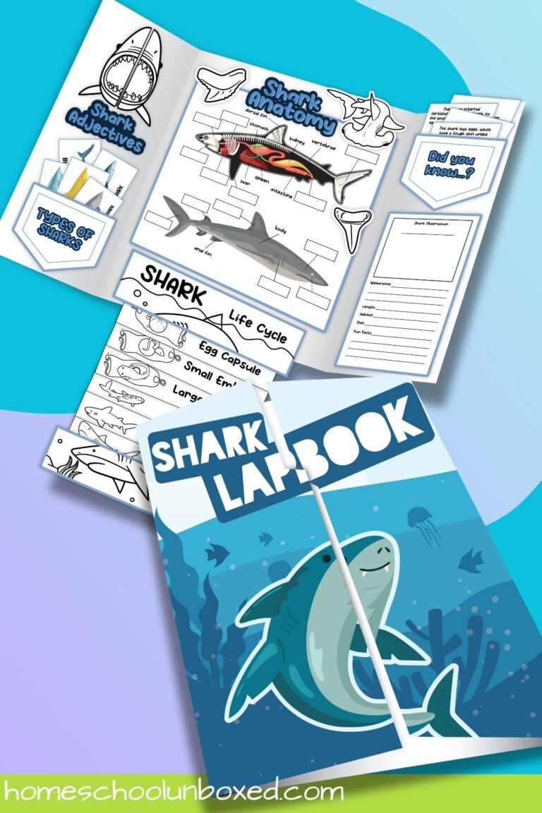 Shark Lapbook Activity (Free Printables)