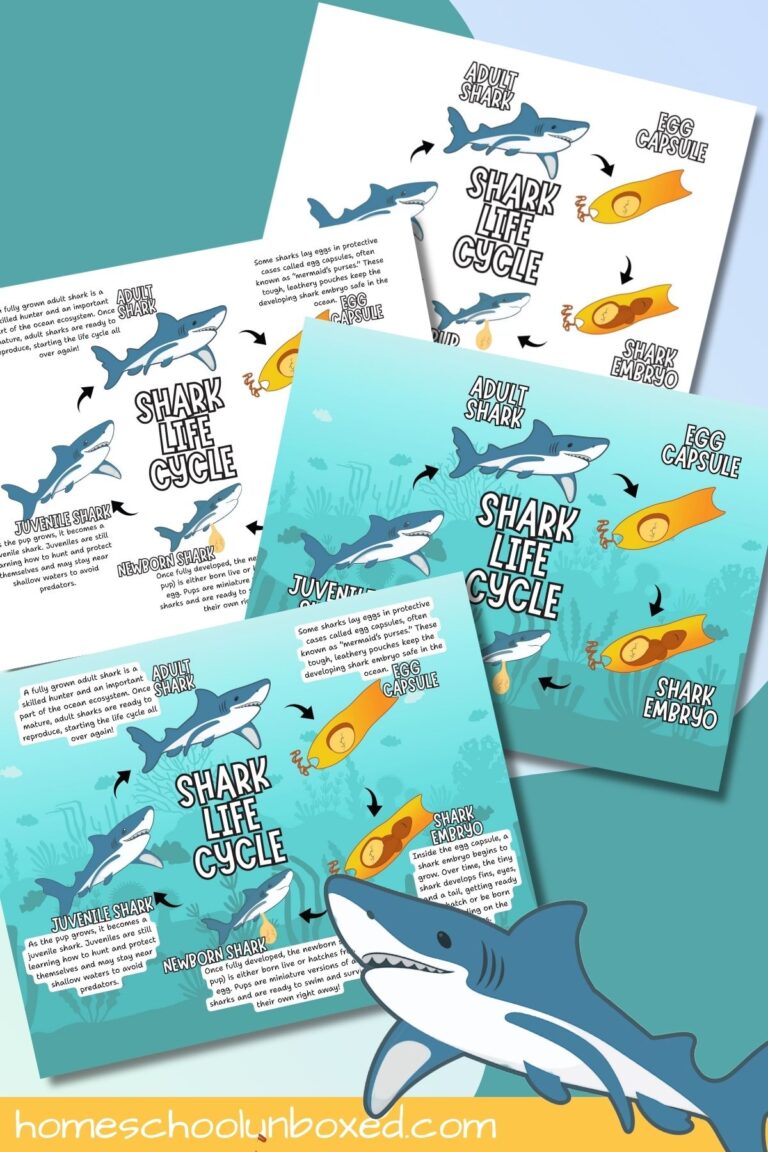 Cool Free Shark Printables (Tons of great resources!)
