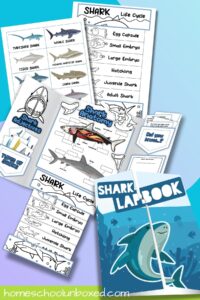 Cool Free Shark Printables (Tons of great resources!)