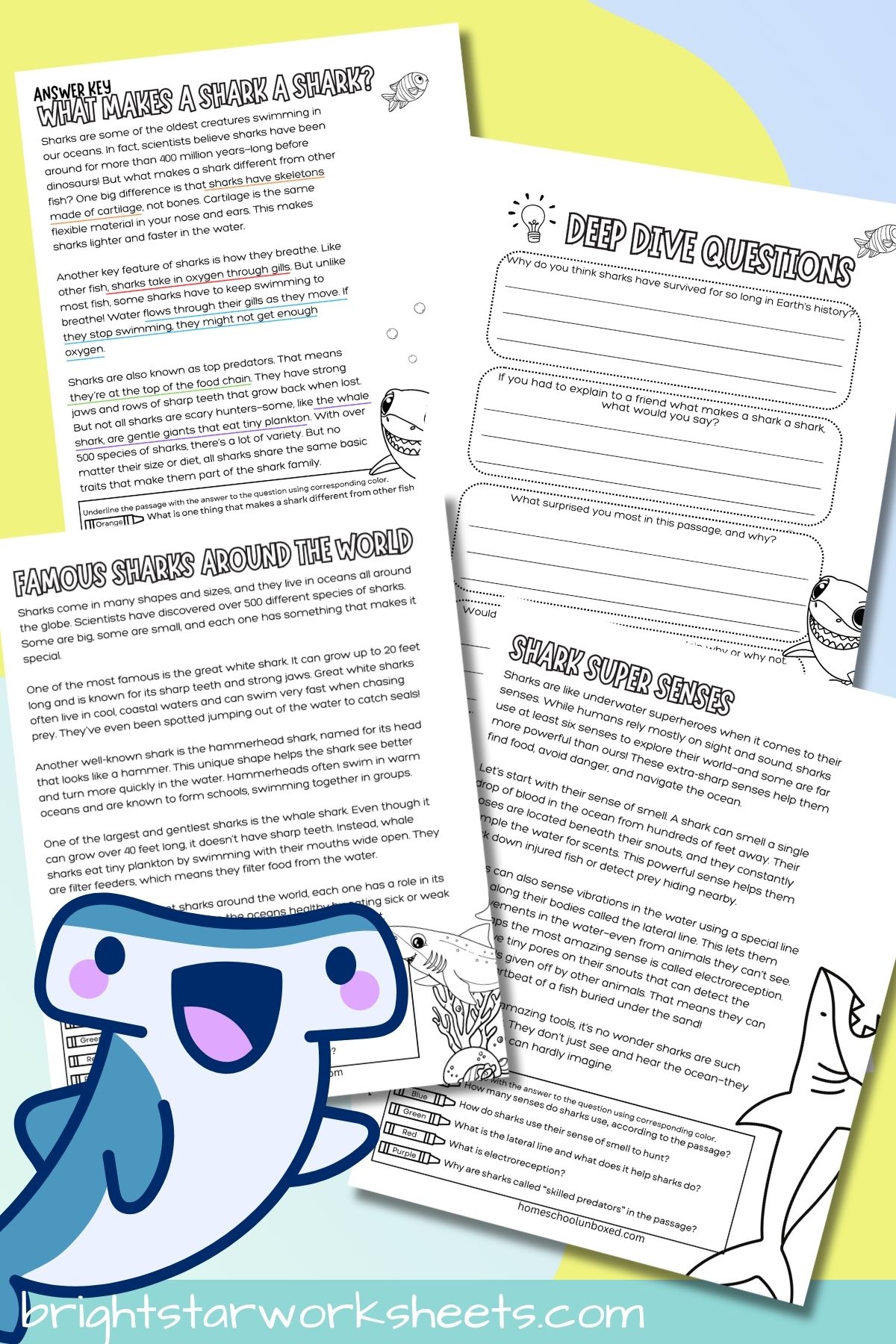 Shark Life Cycle Diagrams (Free Printables for Kids)