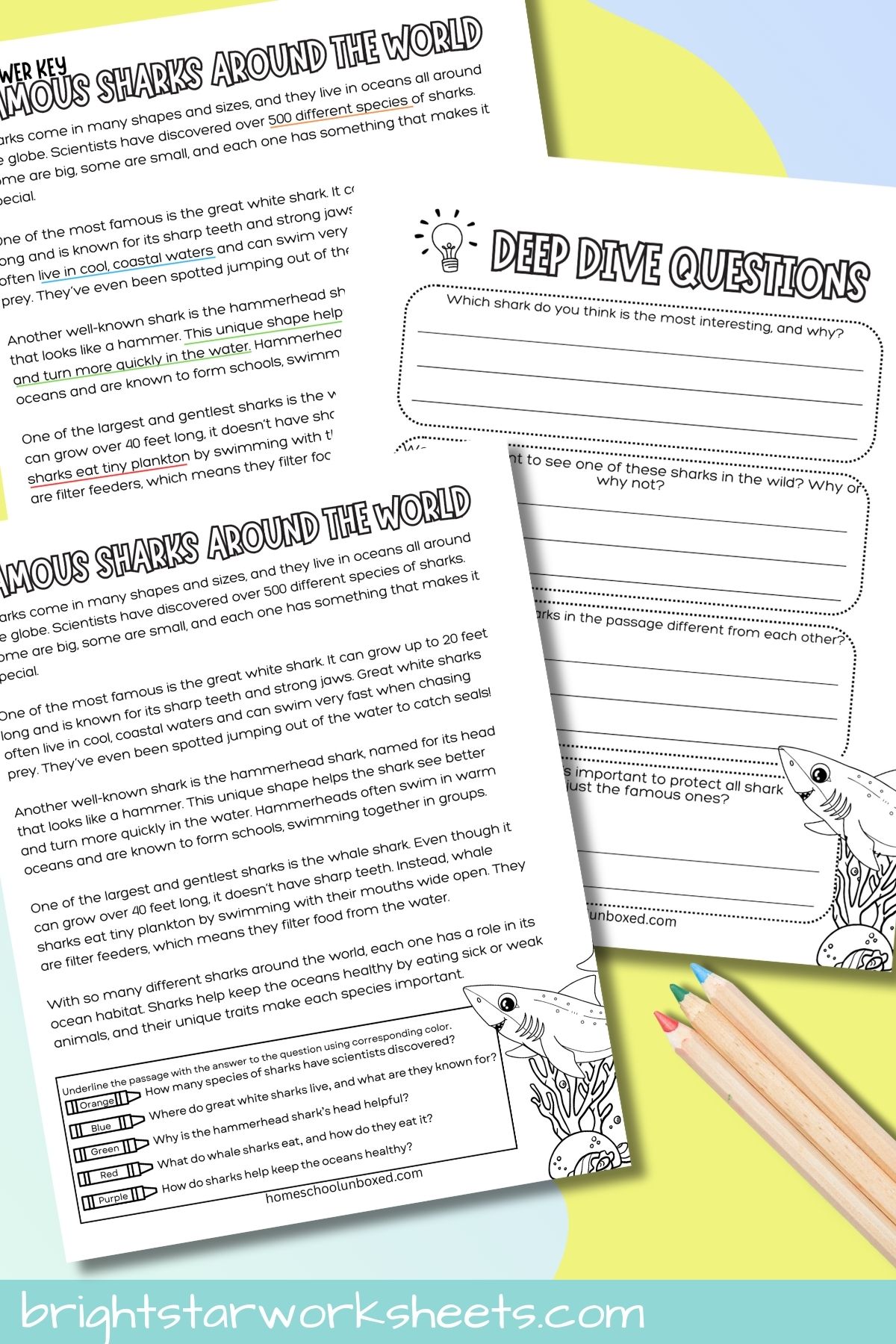 Shark Reading Comprehension Worksheets (Free Printables)