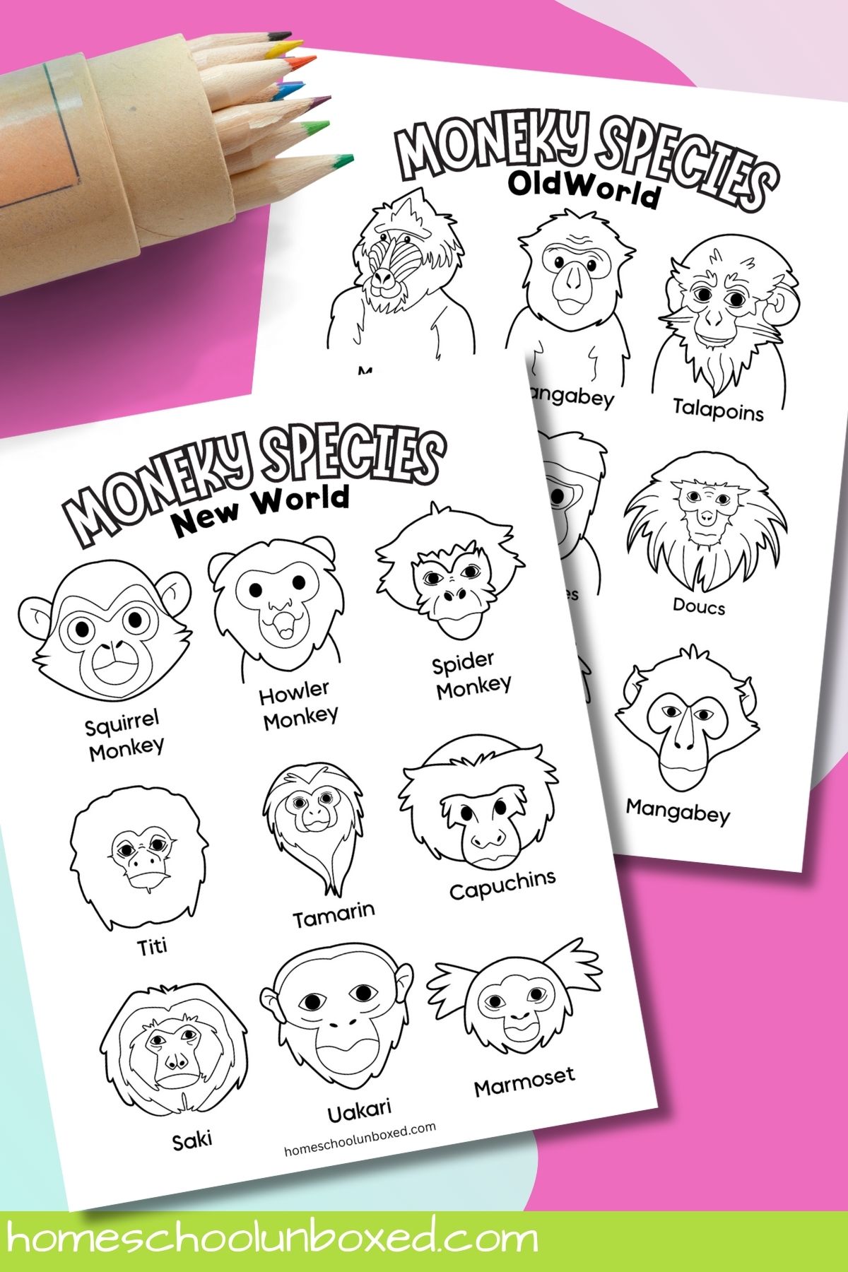 Monkey Species Worksheets (Free Printables!)