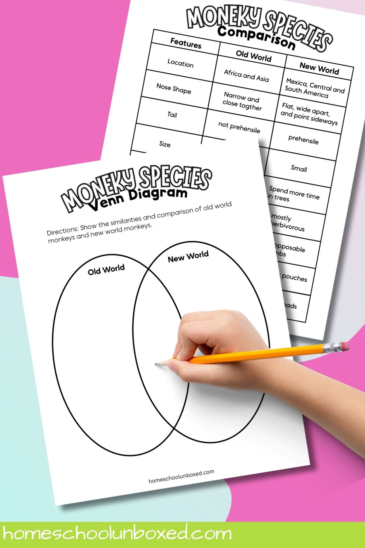 Monkey Species Worksheets (Free Printables!)