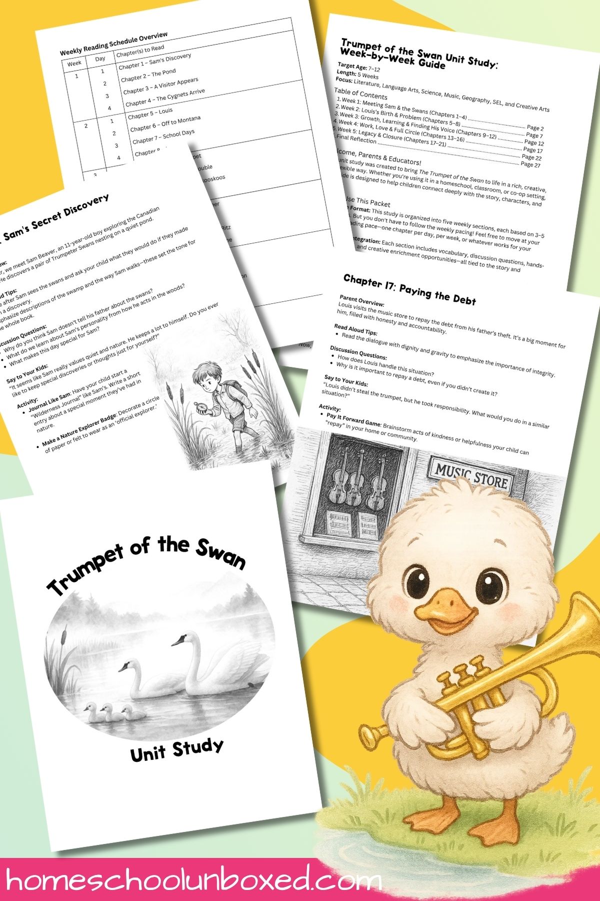 Shark Reading Comprehension Worksheets (Free Printables)