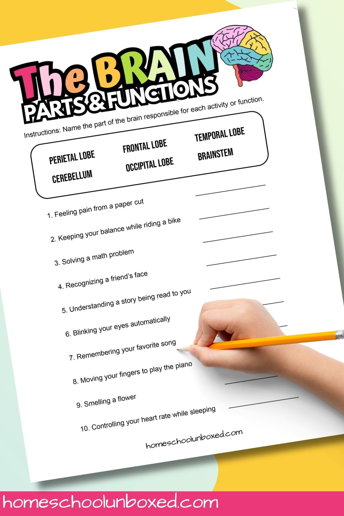 Brain Function Matching Worksheet for Kids (Free Printable + Answer Key)
