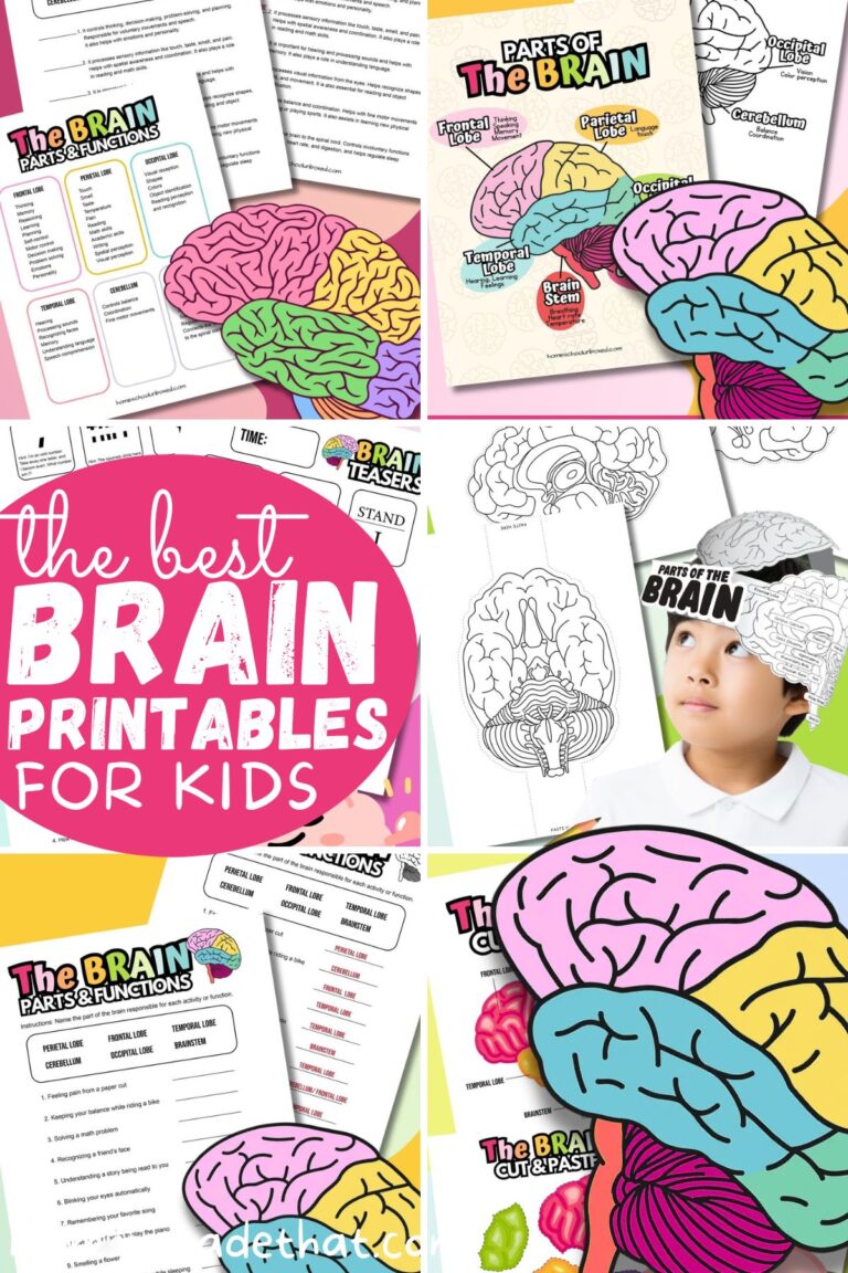 Brain Worksheets for Kids (Lots of Free Printables)
