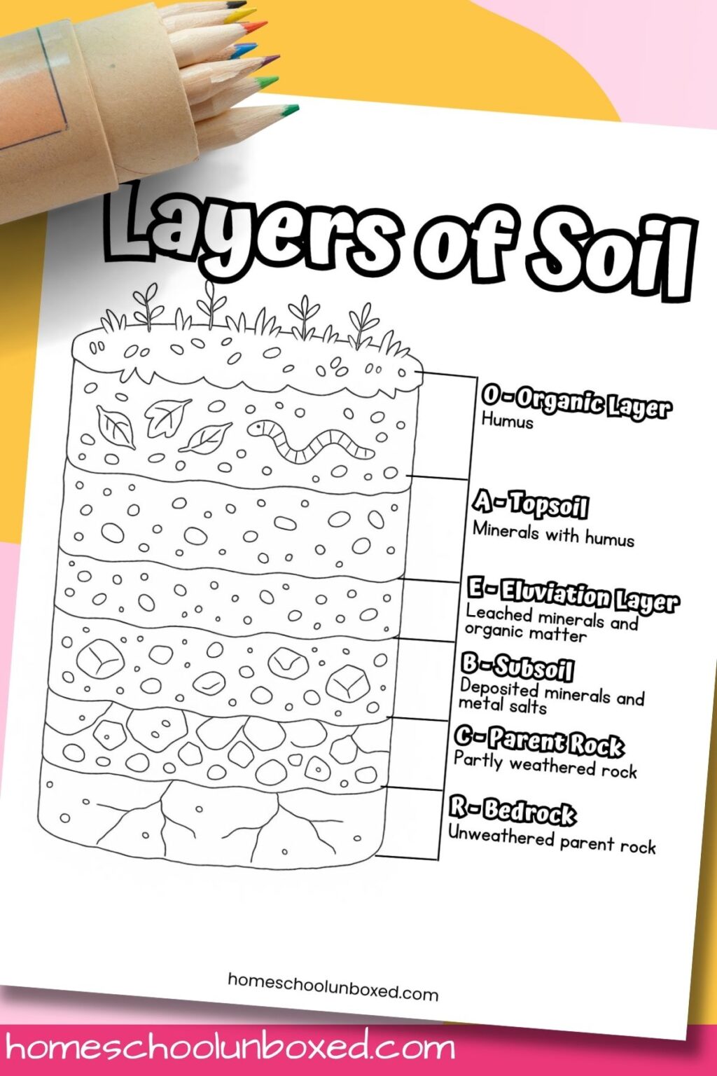 Layers of Soil Diagram (Free Printable)