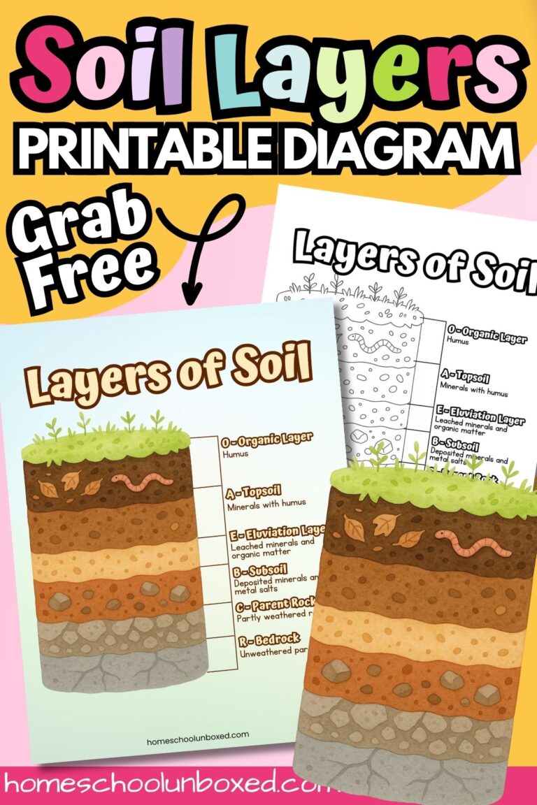 Layers of Soil Diagram (Free Printable)