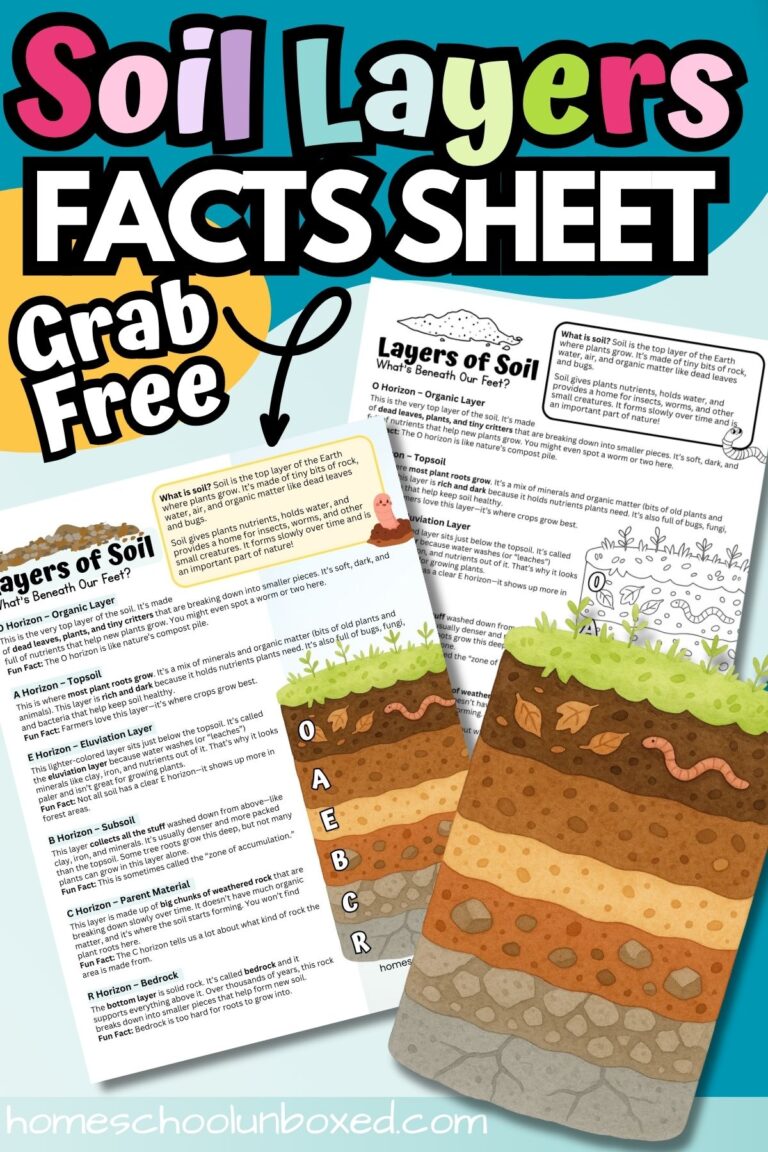 Layers of Soil Fact Sheet (Free Printable)
