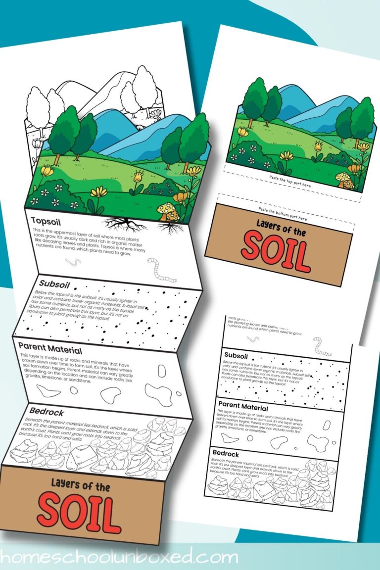 Layers of Soil Fold Out Activity (Free Printable)
