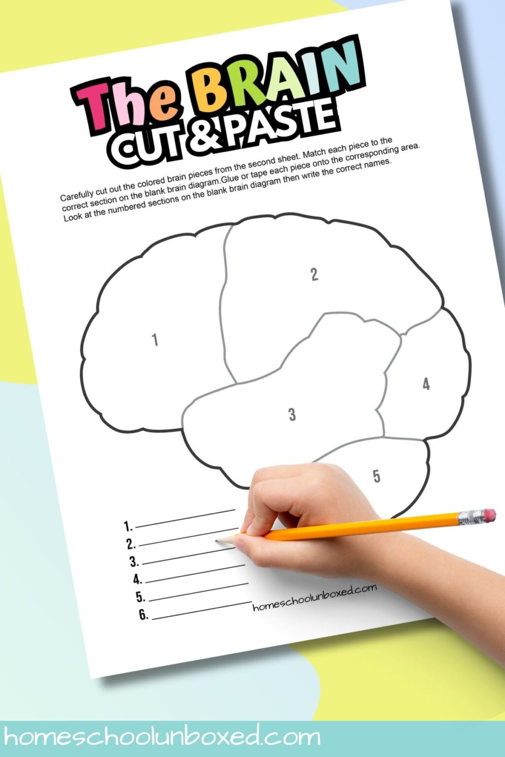 Parts of the Brain Cut & Paste Activity (Free Printable)