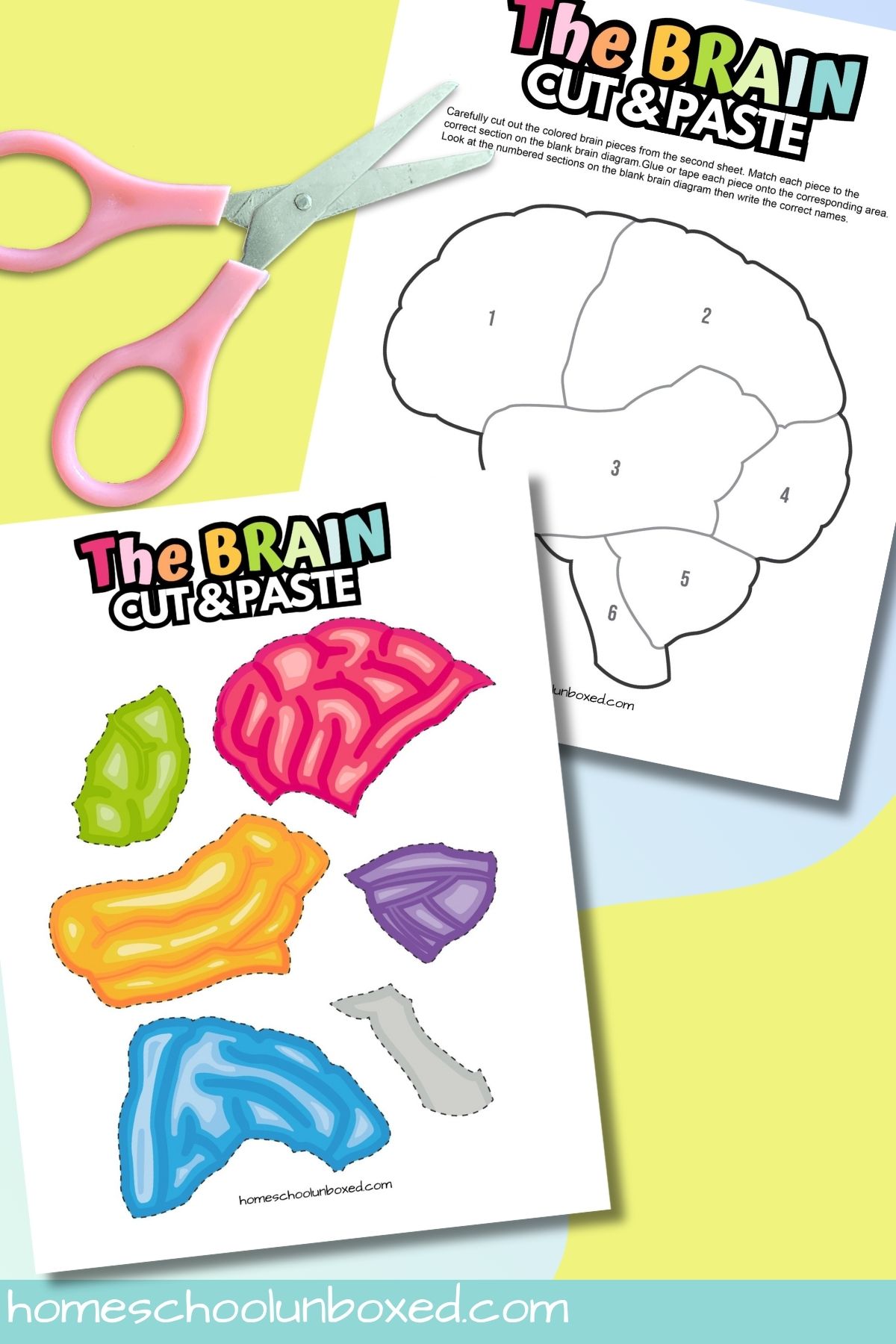 Parts of the Brain Cut & Paste Activity (Free Printable)