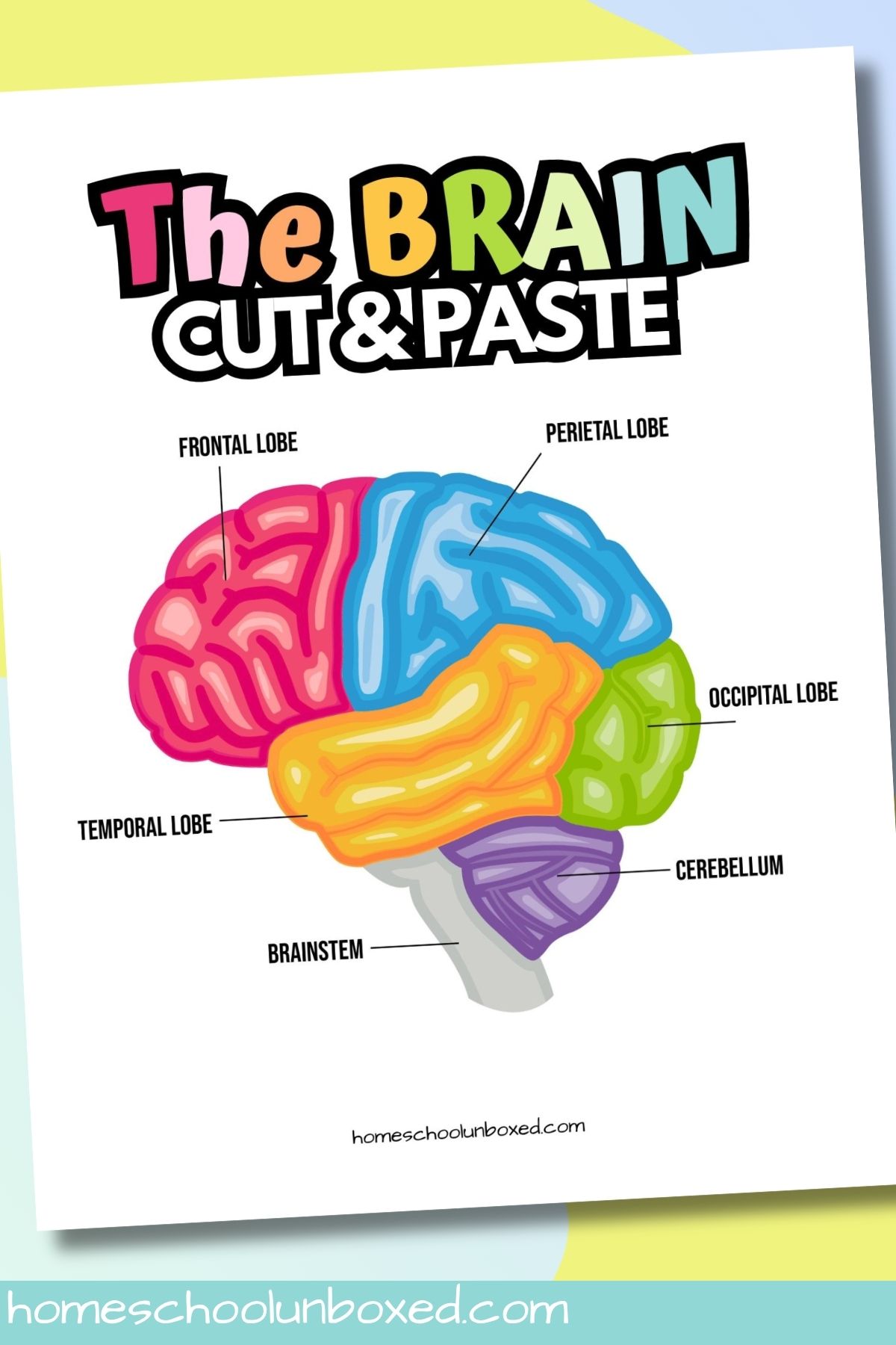 Parts of the Brain Cut & Paste Activity (Free Printable)