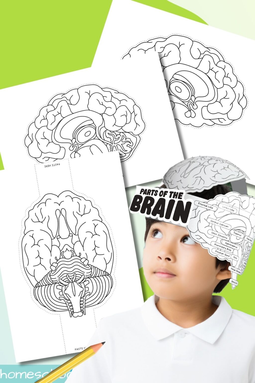 Paper Brain Hat (Free Printable)