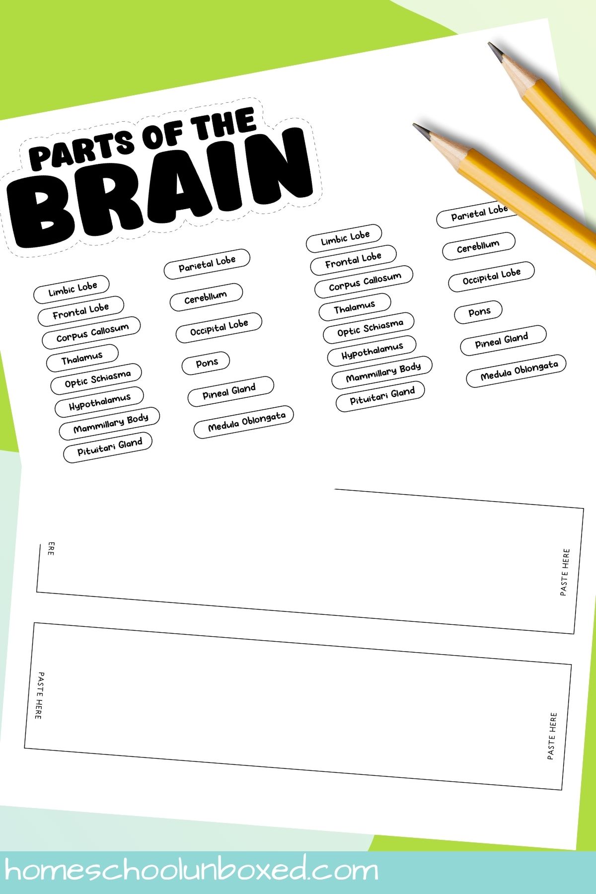Paper Brain Hat (Free Printable)