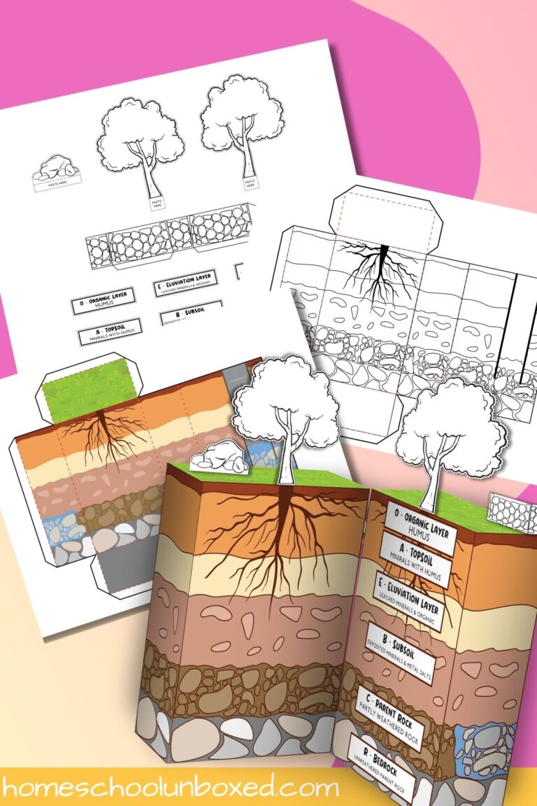 Layers of Earth Foldable (Free printable activity)