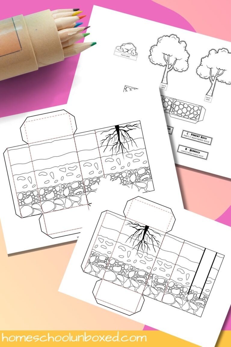 Soil Layers Diorama (Free Printable Activity)