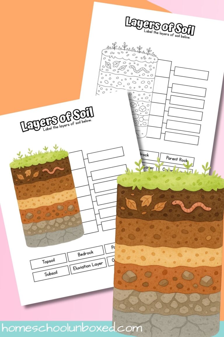 Soil Layers Labeling Worksheet (Free Printable)