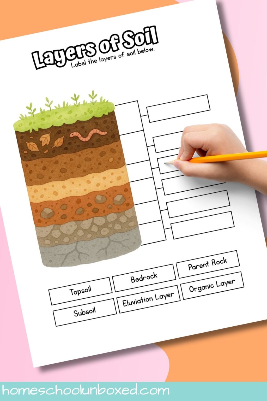 Soil Layers Labeling Worksheet (Free Printable)