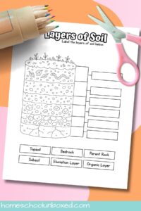 Soil Layers Labeling Worksheet (Free Printable)