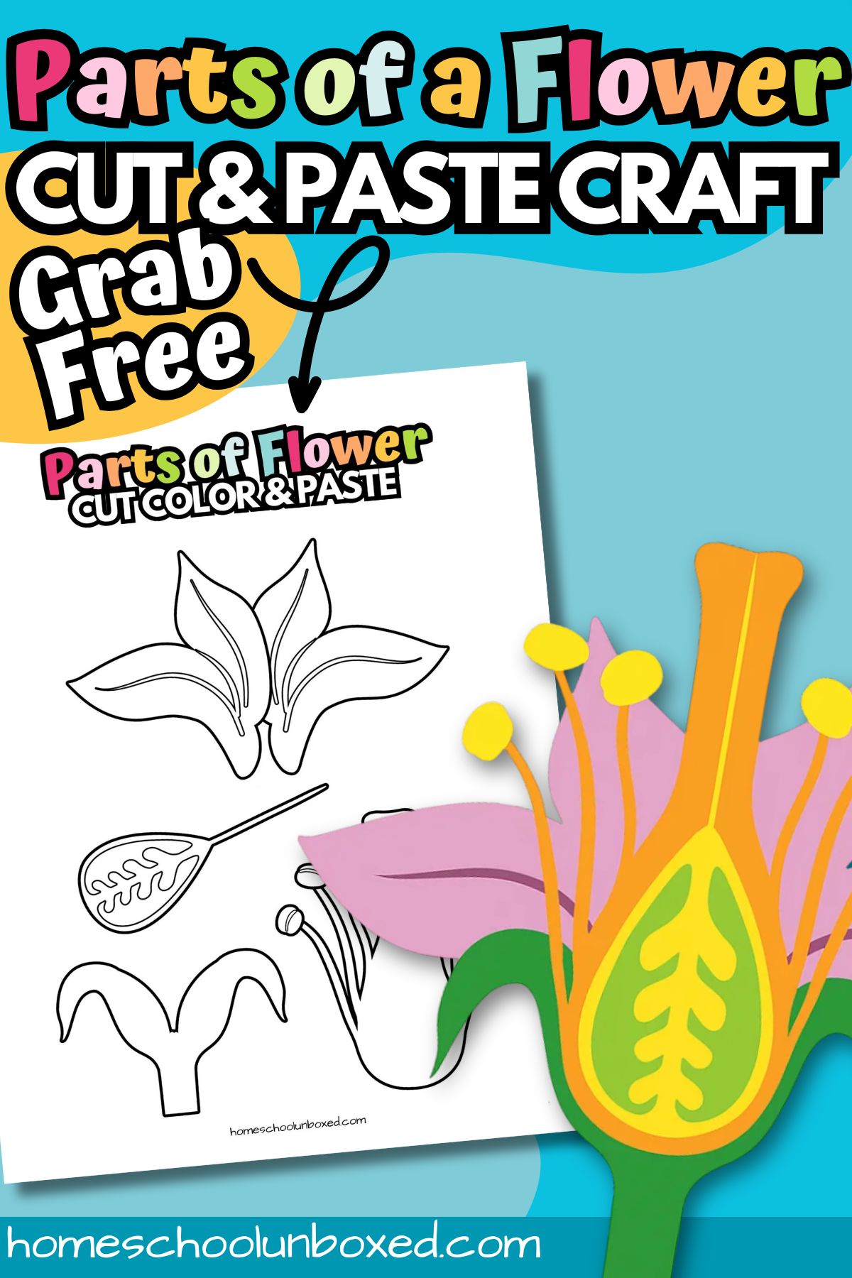 Parts of a Flower Cut and Paste Activity (Free Printable)