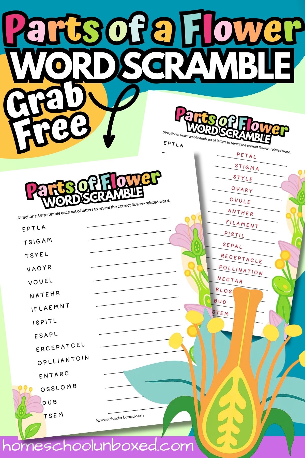 Parts of a Flower Word Scramble Worksheet (Free Printable)