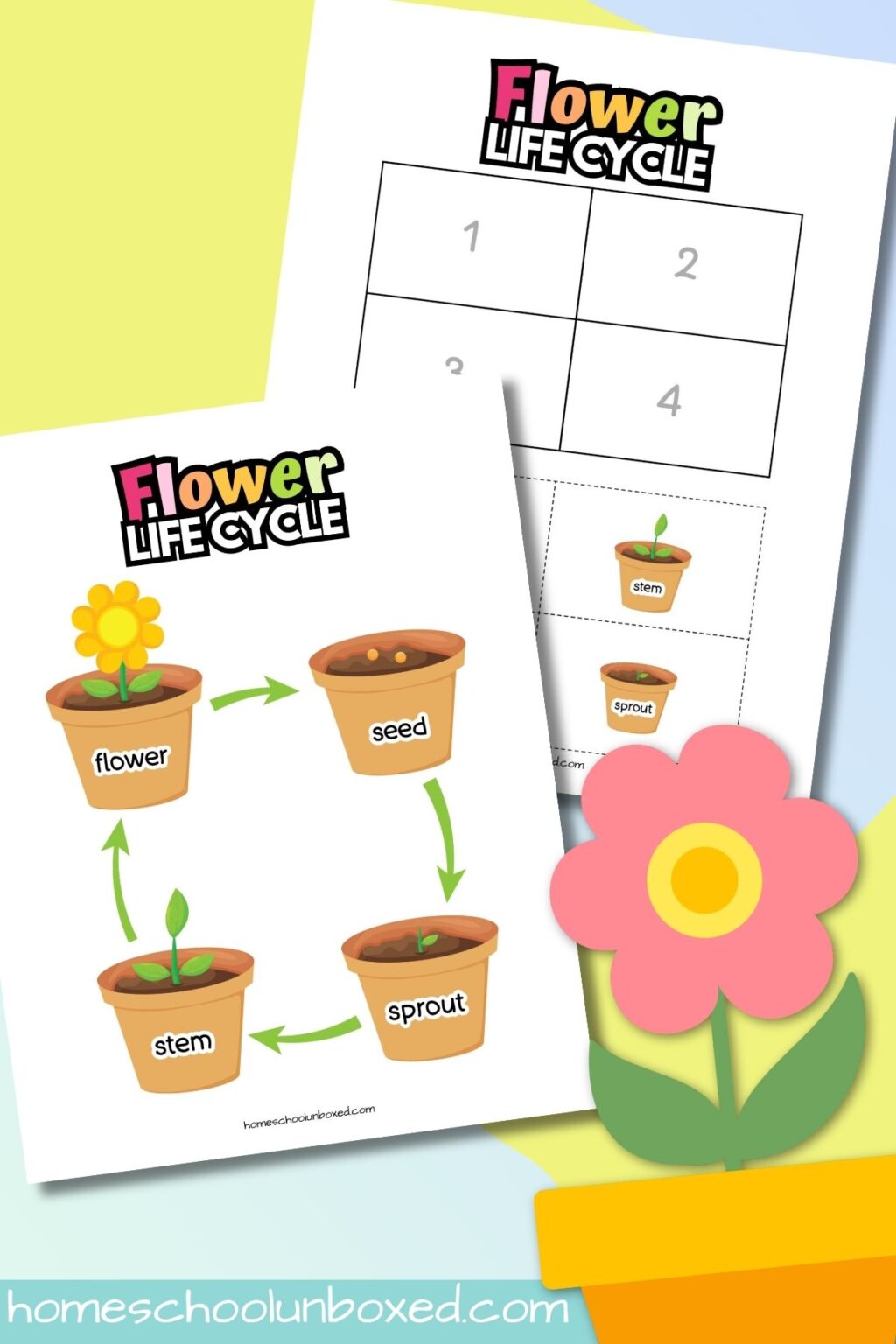 Parts of a Flower Worksheets (Lots of Free Printables!)