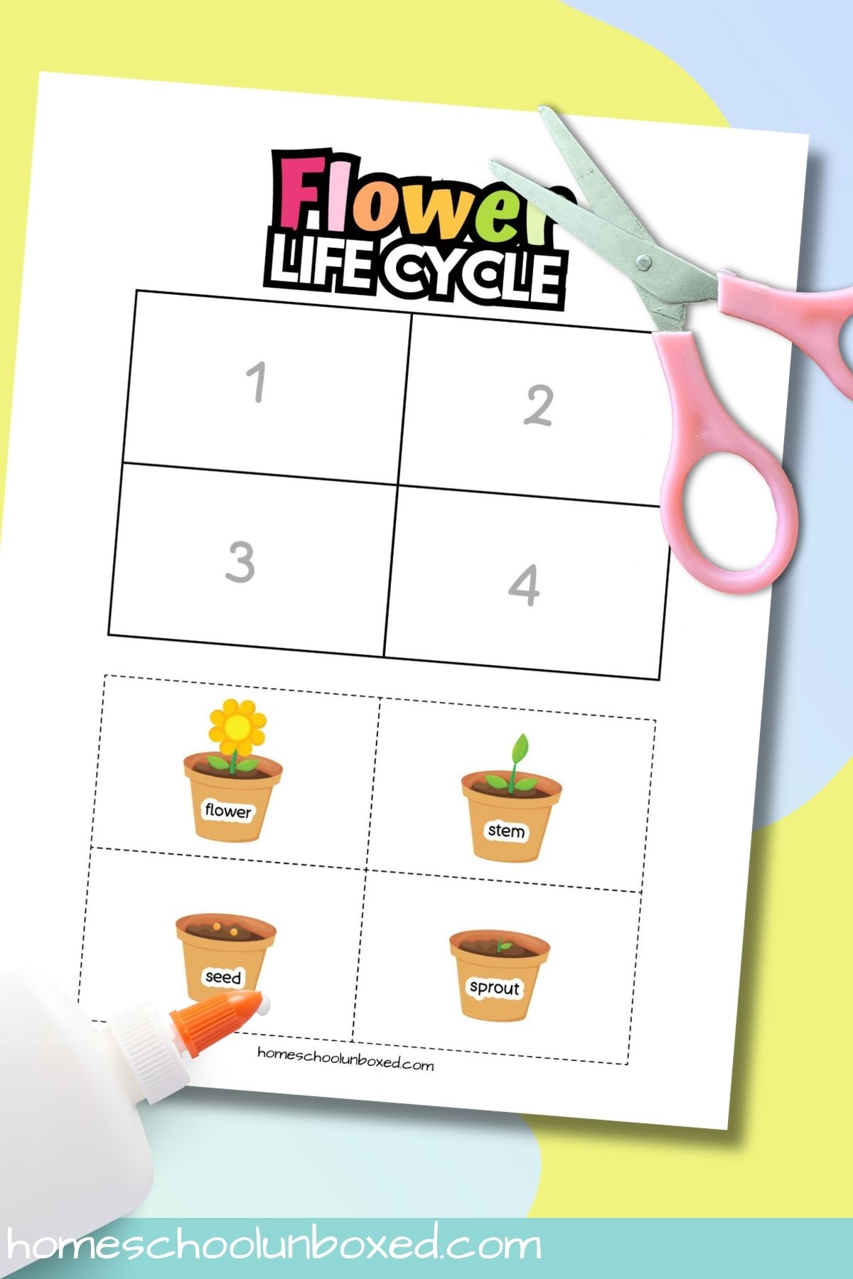 Preschool Flower Life Cycle Worksheet (Free Printable)