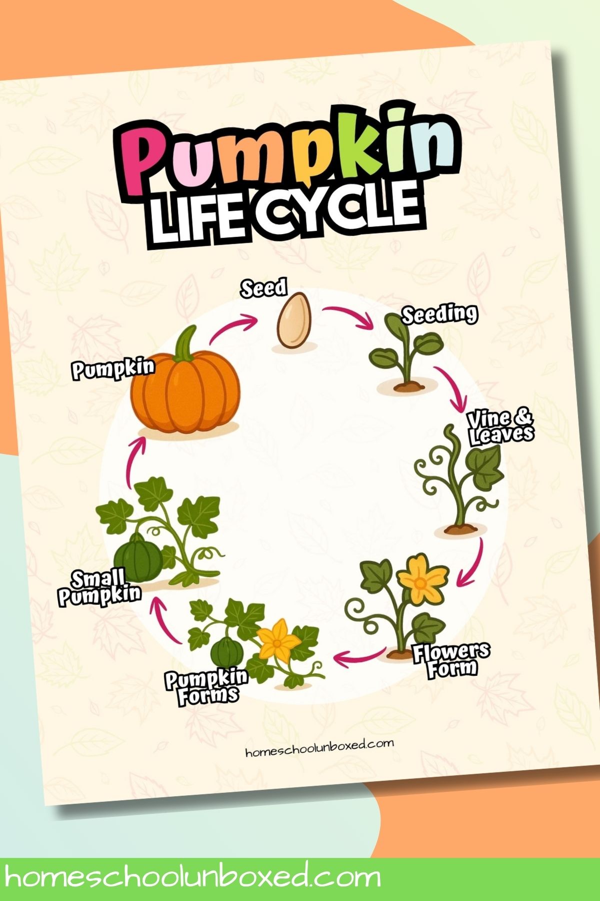 Pumpkin Life Cycle Diagram (Free Printable)