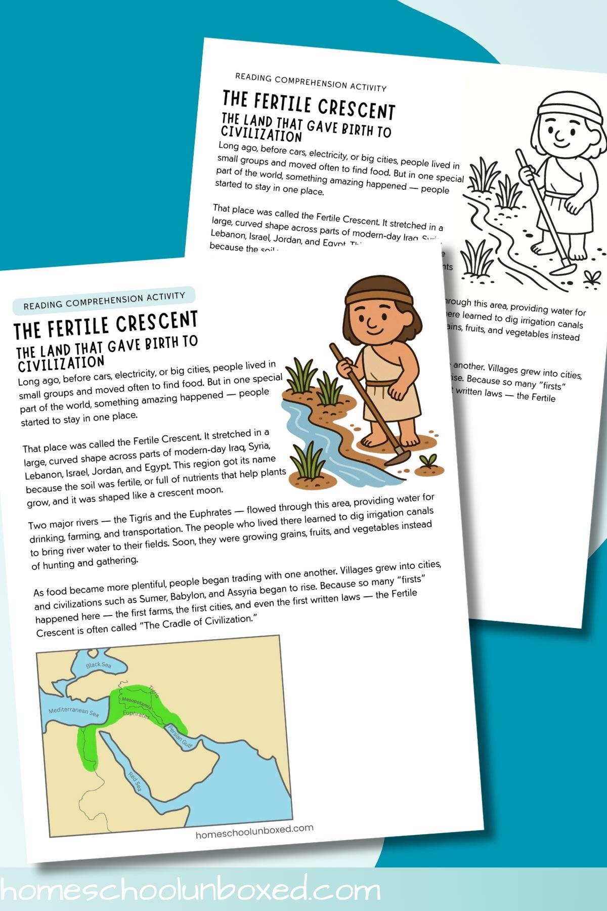 The Fertile Crescent Reading Comprehension (Free Printable Activity)